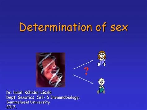 Ppt Determination Of Sex Factors Genes And Development Powerpoint