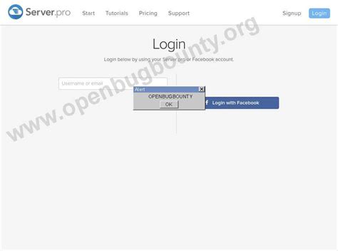 All Vulnerabilities For Server Pro Patched Via Open Bug Bounty