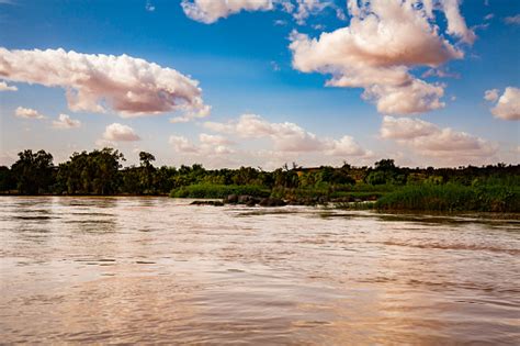 니제르의 수도 나이아메 외곽에 흩어져 있는 하얀 구름과 푸른 하늘과 대조되는 장마철에 진흙투성이의 오렌지색 물이 있는 니제르 강의 녹색 기슭 0명에 대한 스톡 사진 및 기타