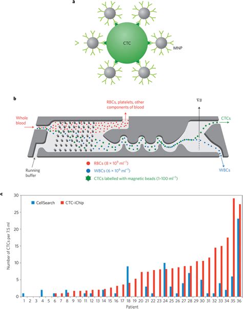 Advanced Microdevices For Circulating Tumour Cell Isolation A Ctcs Download Scientific