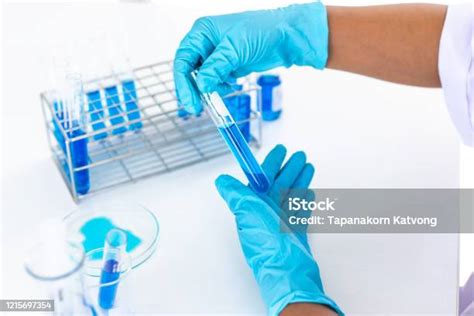 과학자들은 과학 실험실에서 화학 조성 및 생물학적 질량의 결정을 준비하기 위해 파란색 화학 테스트 튜브를 들고 있다 과학자 및 실험실 개념의 연구 Stem 주제에 대한 스톡