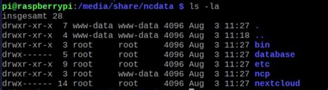 nextcloudpi in docker on raspberrypi 4 not working 📦 appliances docker snappy vm ncp aio