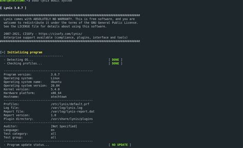 How To Install Lynis On Ubuntu 2004 Imaginelinux