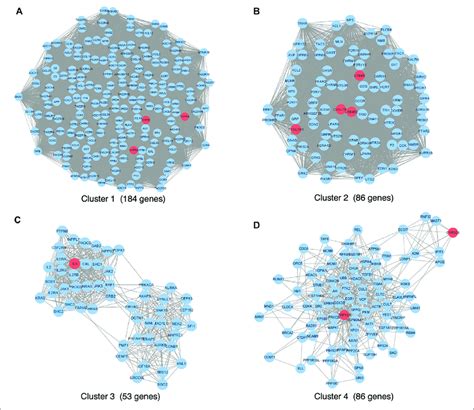 Top Four Gene Interaction Networks Based On The Mcode Plug In Of