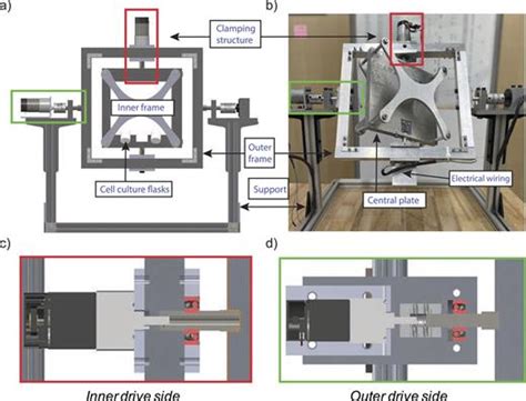 simulating microgravity using a random positioning machine for inducing