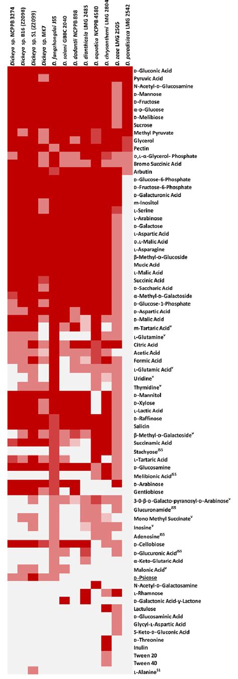 Heat Map For Carbon Utilization By Dickeya Spp For 76 Differentially Download Scientific