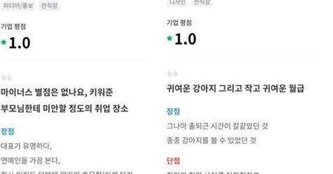 부부가 직원 뒷담화 개통령 강형욱 회사 리뷰 논란