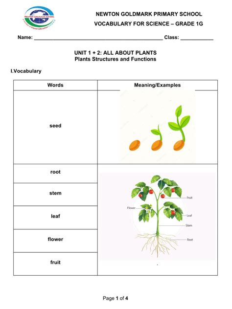 Wordlist 1g Grade 1 Unit 1 Plant Structures And Functions Pdf