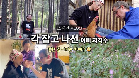스페인 일상 아빠 저격수 막내에게 험한 일 시키는 아빠 티격태격과 힐링이 오가는 요즘 Youtube