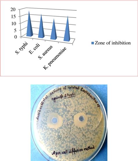 Figure 1 From Isolation And Characterization Of Lactobacillus Spp From