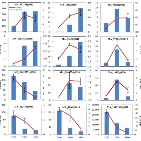Verification Of Rna Sequencing Rna Seq Results By Quantitative