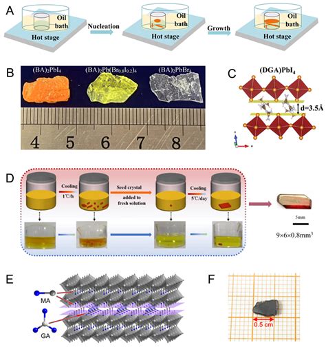 Phase Dependent Materials Design And Characteristic Properties Of Two Dimensional 2d Halide