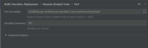 Support Profiler For Wsl · Issue 7857 · Intellij Rustintellij Rust