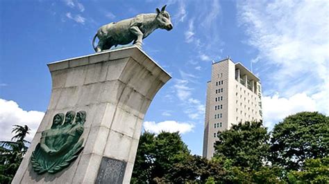 서울대 7년 연속 1위건국대 29년만에 사상 첫 톱10 진입 2022 대학평가 중앙일보