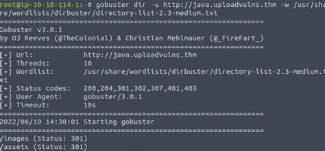 Tryhackme Upload Vulnerabilities — Walkthrough