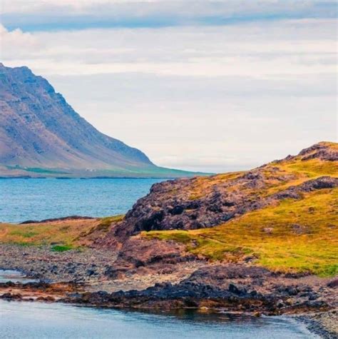 جعفري Campaign11