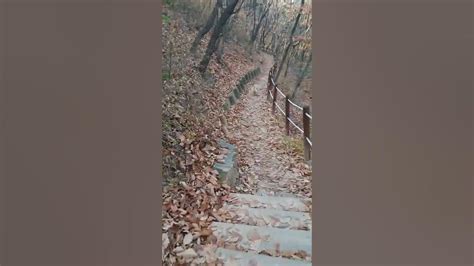 할어버지 무서워 Youtube