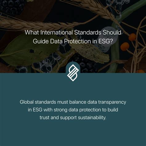What International Standards Should Guide Data Protection In Esg →