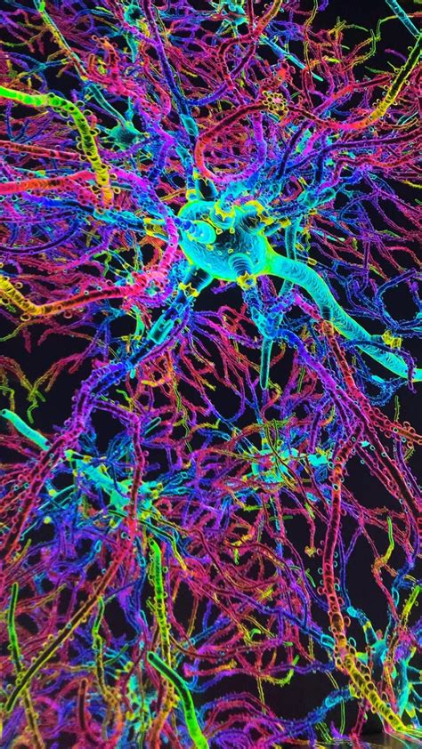 Life Of A Neuron Artechouse Artofit