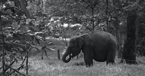 Leveraging Predictive Threat Intelligence Effectively