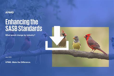 Enhancing The Sasb Standards