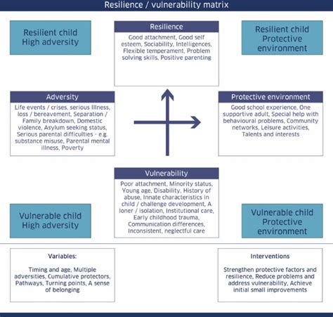 shanarri vulnerability matrix pdf