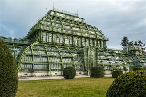 Azaleen Im Palmenhaus Sch Nbrunn Fotos Reisen Und Mehr