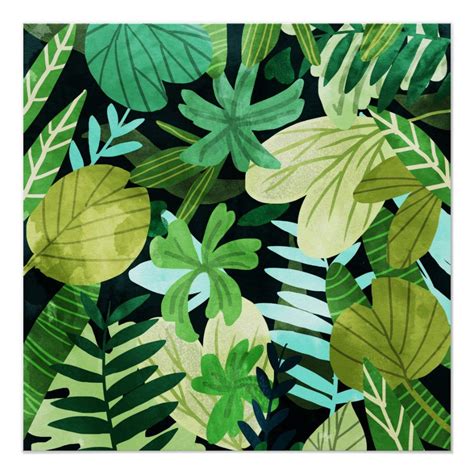 Rainforest Poster Zazzle Nature Illustration Tropical Poster