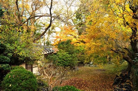 한국 대한민국 정원 Pixabay의 무료 사진 Pixabay