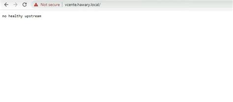 Fix No Healthy Upstream Error In Browsers And Applications