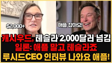 캐시우드 테슬라 2000달러 넘긴다 일론애플 말고 테슬라죠 루시드ceo 인터뷰 나와요 애플 드세요 제발 Youtube