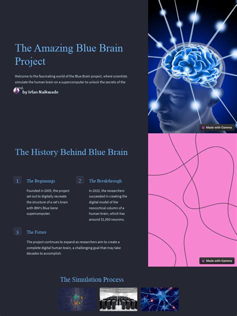 The Amazing Blue Brain Project Pdf Brain Neuroscience