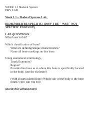 Week Skeletal System IN CLASS LAB SHEET Babe COPY Docx WEEK Skeletal System DRY LAB