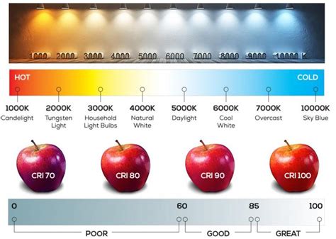 Color Temperature And Cri Explained Lampatron
