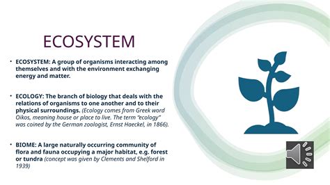 Ecosystem Its Structure And Functions PPT