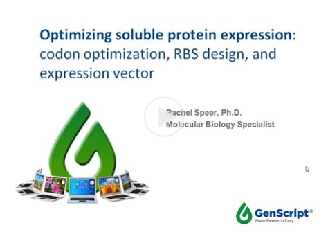 Codon Optimization For Protein Expression