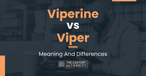 Viperine Vs Viper Meaning And Differences