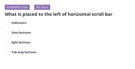 What Is Placed To The Left Of Horizontal Scroll Bar EXAMIANS