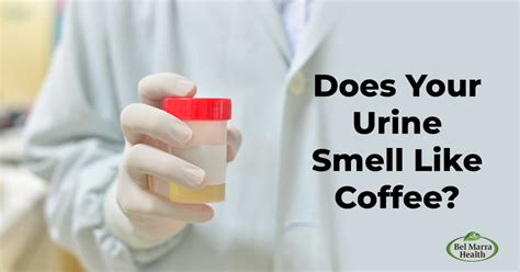 Does Coffee Make Your Pee Smell Like Coffee Causes And Tips Kitchflair
