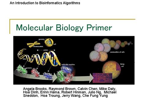 An Introduction To Bioinformatics Algorithms Molecular Biology Primer