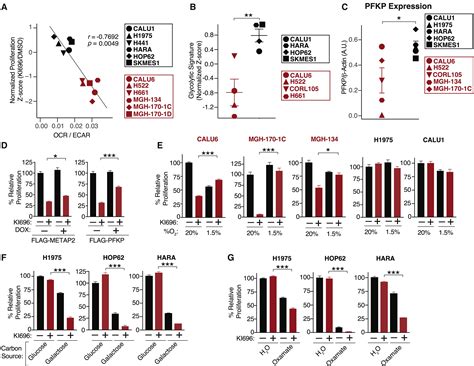 Nrf2 Activation Induces Nadh Reductive Stress Providing A Metabolic