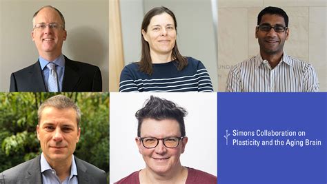 Simons Collaboration On Plasticity And The Aging Brain Announces New Research Awards