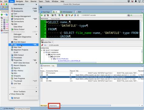 Using DEBUG Mode In Oracle SQL Developer To Log SQL