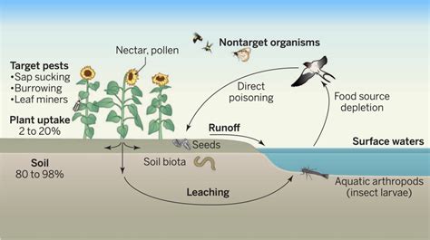 Neonicotinoids In The Environment — Science Learning Hub