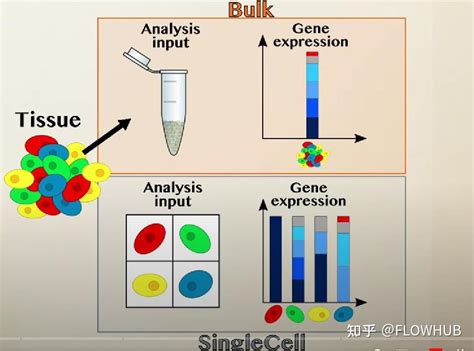 什么是单细胞测序 知乎