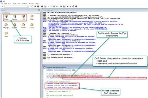 Sas Viya Access Cas From Outside The Viya Deployment