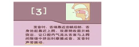 国际音标发音口型图解 打印版 Word文档在线阅读与下载 免费文档