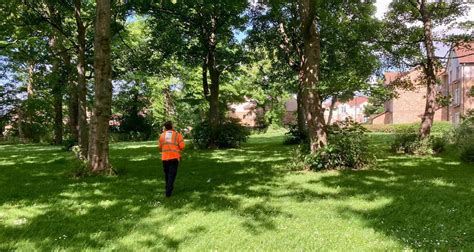 Tree Risk Surveys Thorough Tree Surveys In Yorkshire