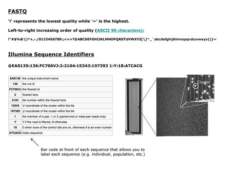 Todays Lecture Topics Ppt Download