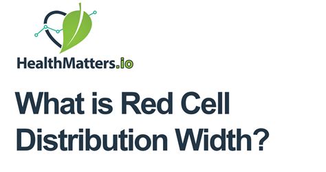 What Is Red Cell Distribution Width Rdw Sd And Rdw Cv